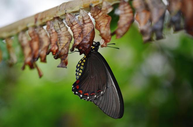 12 Benefits of Being Born-Again – Giving God The Glory